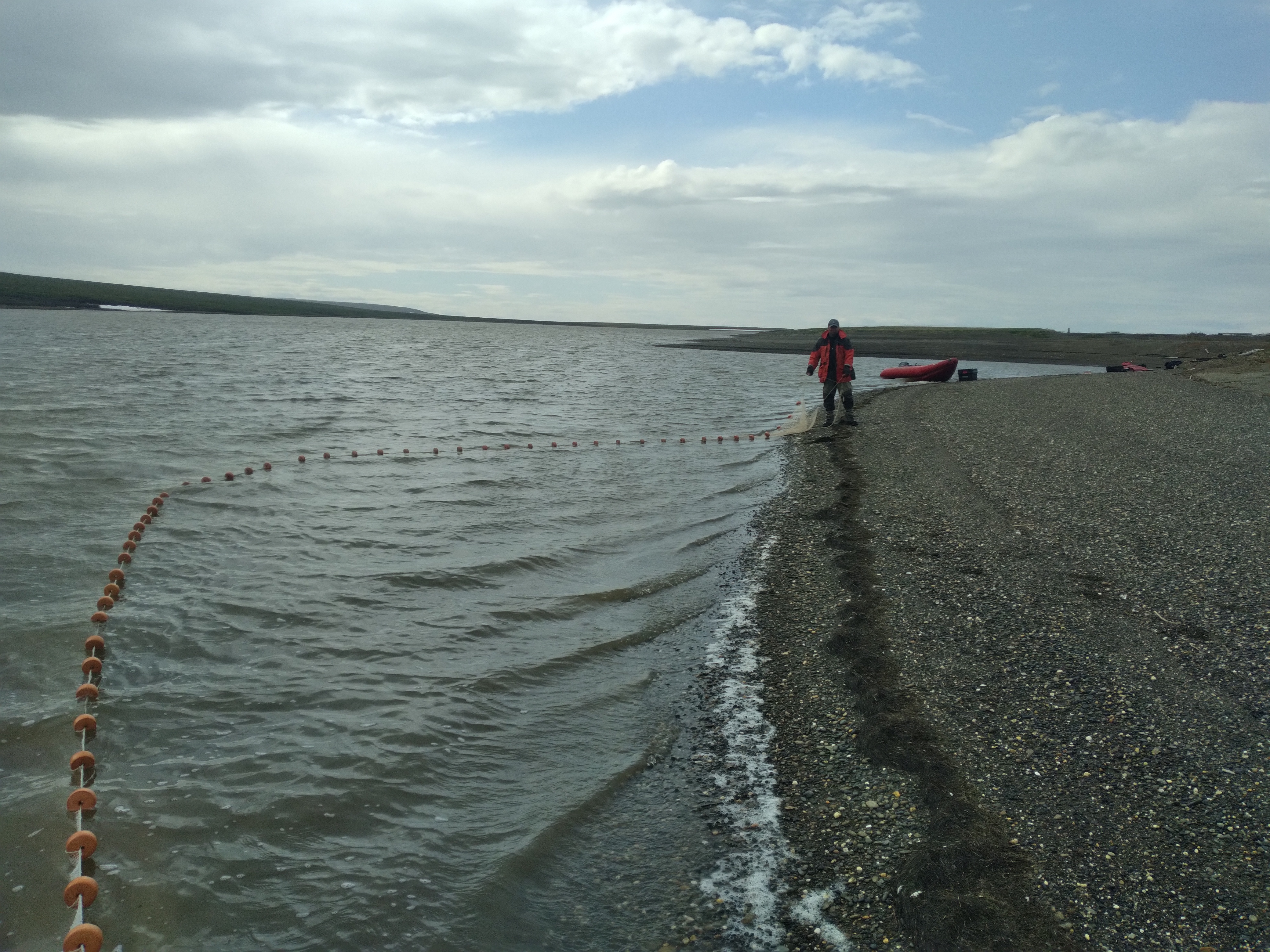 Chukchi Sea Coastal Lagoon Monitoring – Arctic Beringia Fish Ecology