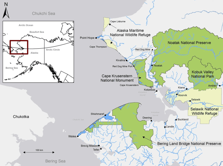 Chukchi Sea Coastal Lagoon Monitoring – Arctic Beringia Fish Ecology
