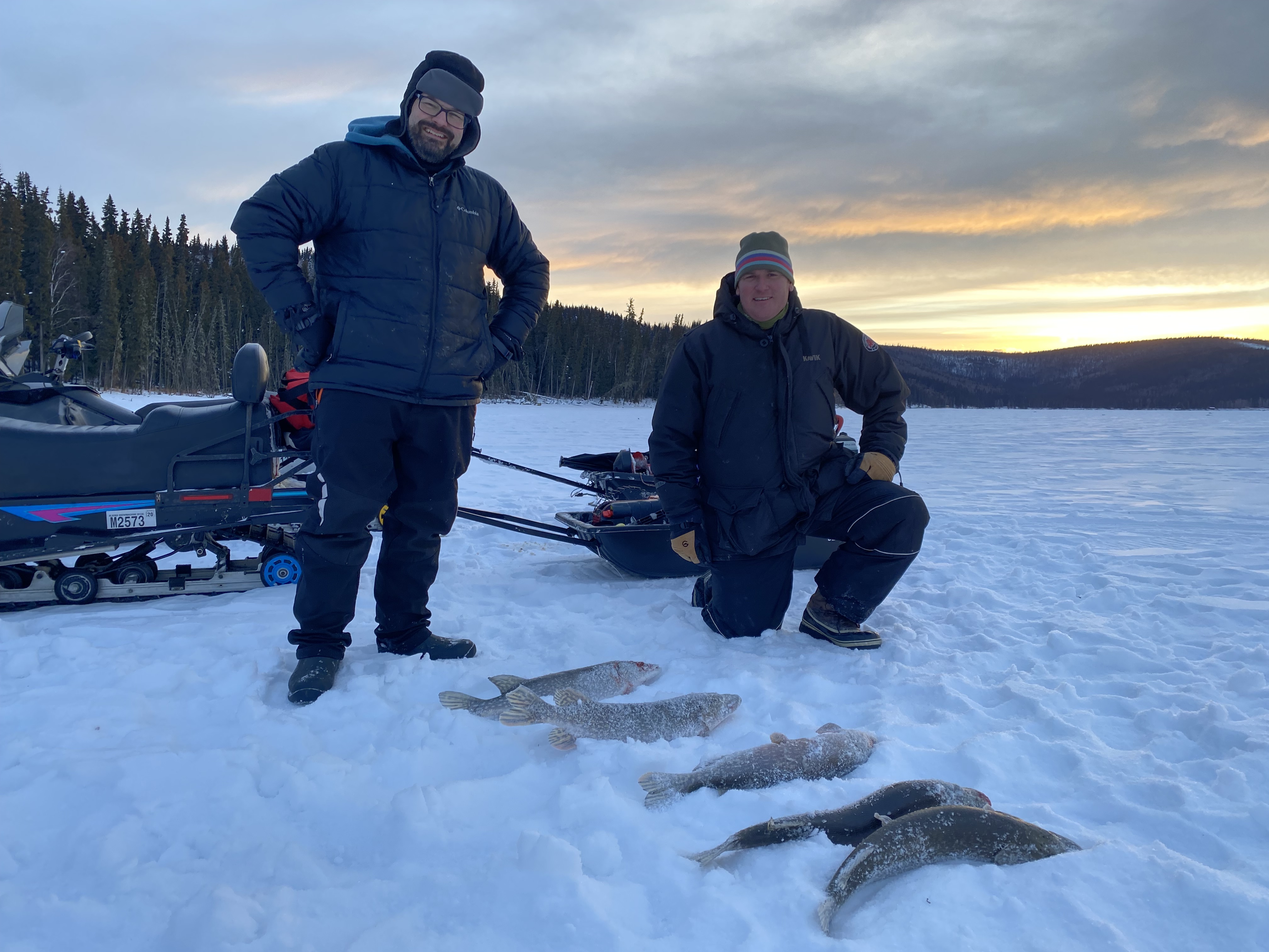 Fish Leech Effects on Northern Pike – Arctic Beringia Fish Ecology